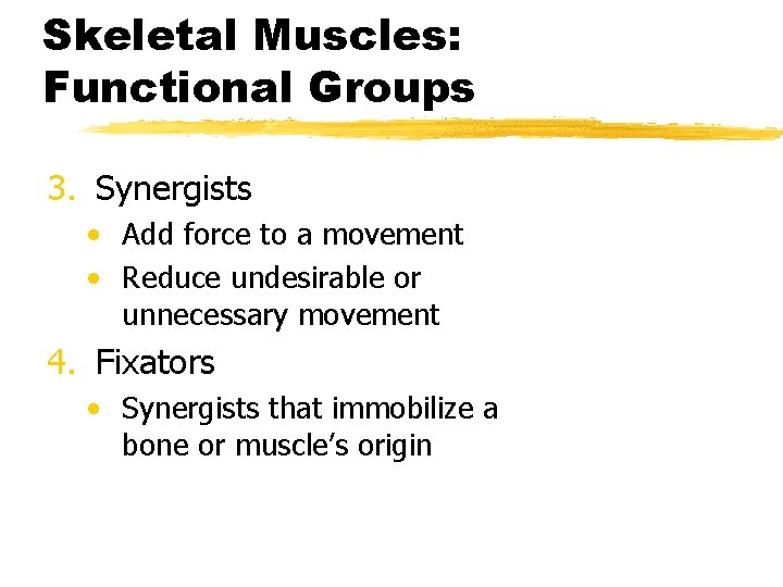 Chapter 10 The Muscular System Part A Objectives