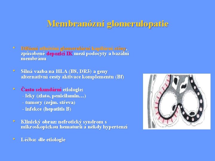 Nemoci glomerul a tubul Pednka z patologick fyziologie