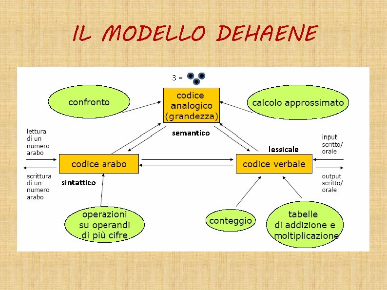 SCREENING E POTENZIAMENTO DELLINTELLIGENZA NUMERICA TRAGUARDI DI MATEMATICA