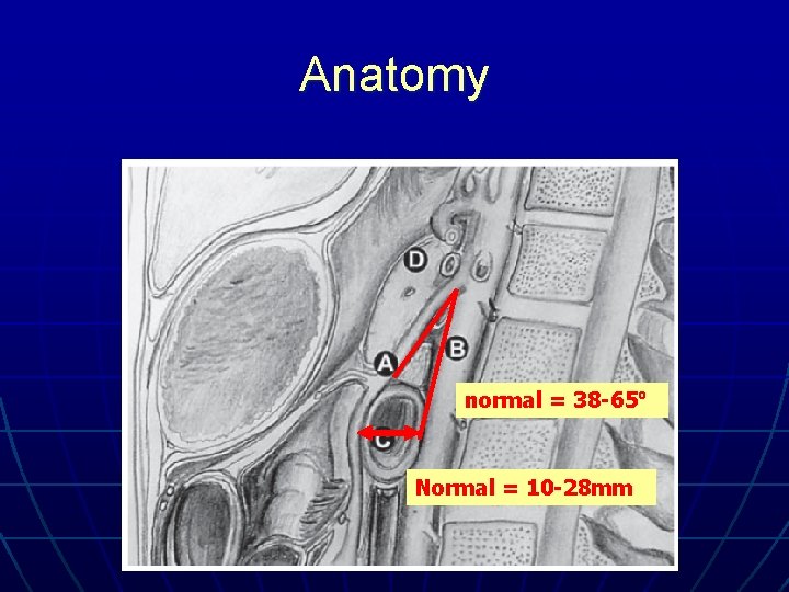 The Management of SMA Syndrome Dr Chunfai LAU