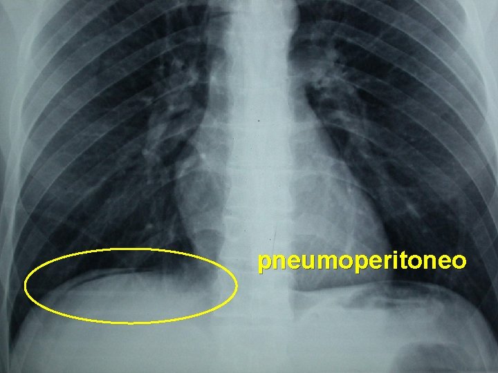 FACOLTA DI MEDICINA E CHIRURGIA CORSO INTEGRATO DI