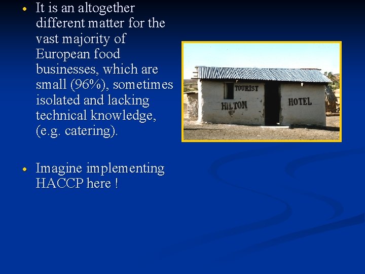 Practical Implementation of HACCP system in small companies