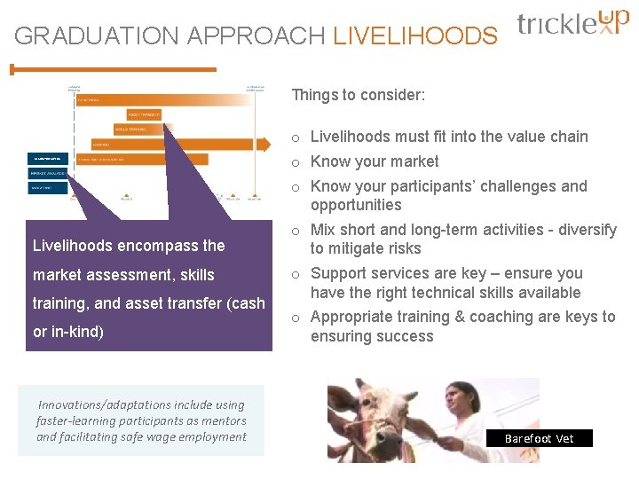 What is the Graduation Approach The Graduation Approach