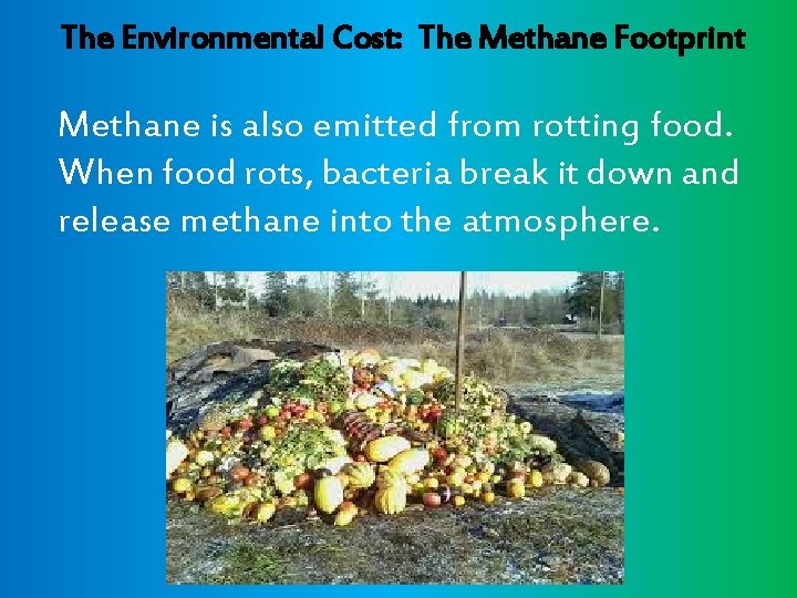 The environmental cost The human cost FOOD WASTE