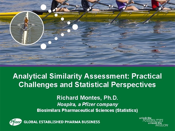 Analytical Similarity Assessment Practical Challenges and Statistical ...