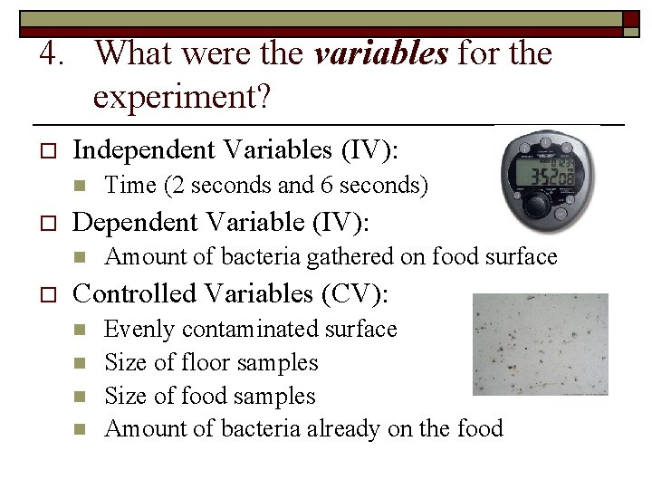 The Five Second Rule Reviewing the Scientific Method