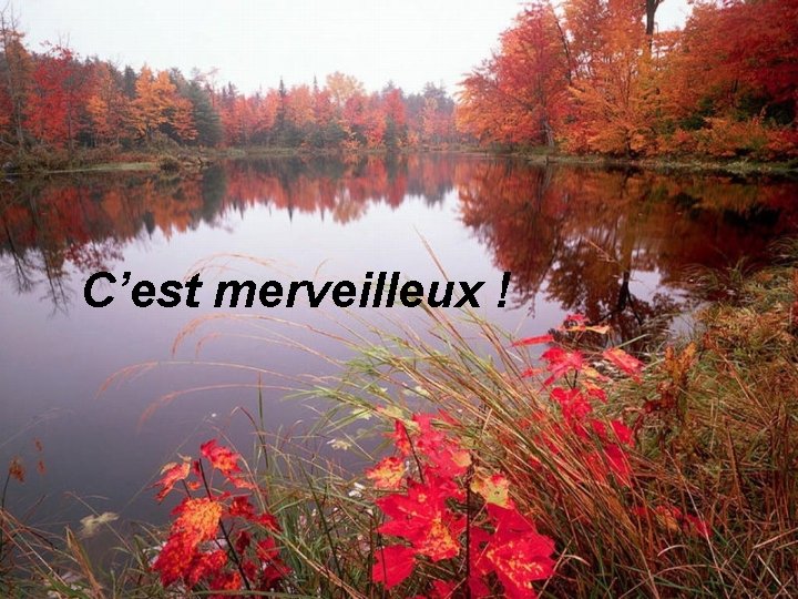 Reste avec moi Texte de Jules Beaulac Seigneur