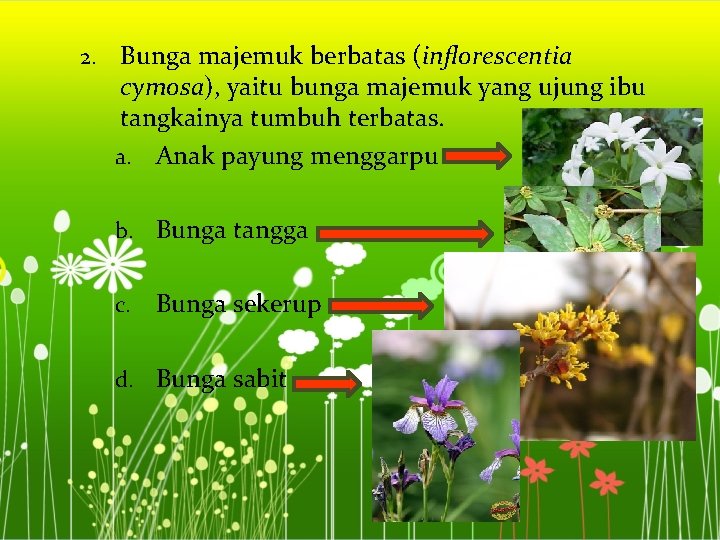 BUNGA Oleh Amalia Husna A 1 C 212056