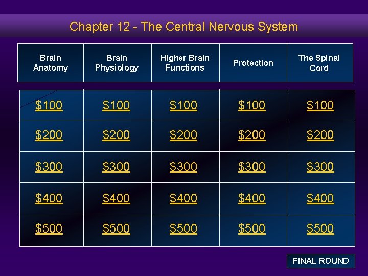 Chapter 12 The Central Nervous System Brain Anatomy