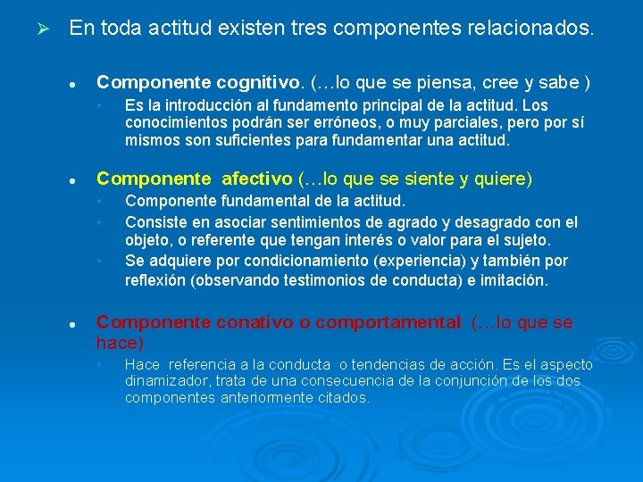 Neurociencia Cognitiva como un aporte a la educacin