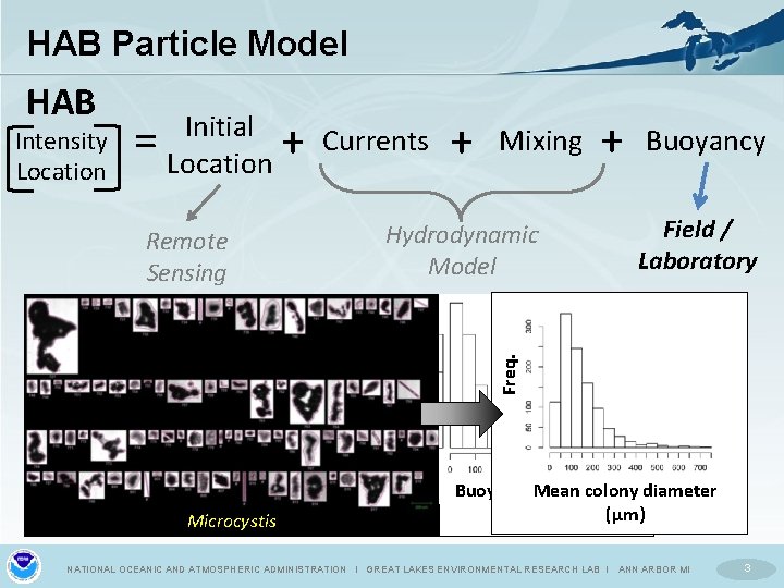 HAB Particle Model HAB Intensity Location Initial Currents