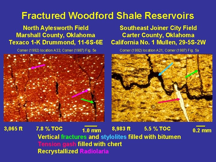 Reservoir Characteristics and Gas Production Potential of Woodford