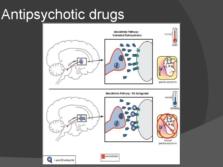 Starter Recap the three assumptions of the biological