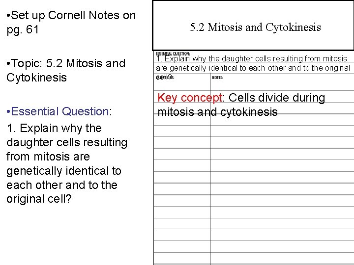 4 2 of Photosynthesis Set Overview up Cornell