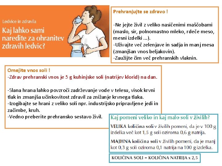 Ledvice in zdravila Zgradba in delovanje ledvic Ledvice