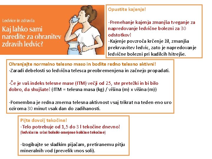 Ledvice in zdravila Zgradba in delovanje ledvic Ledvice