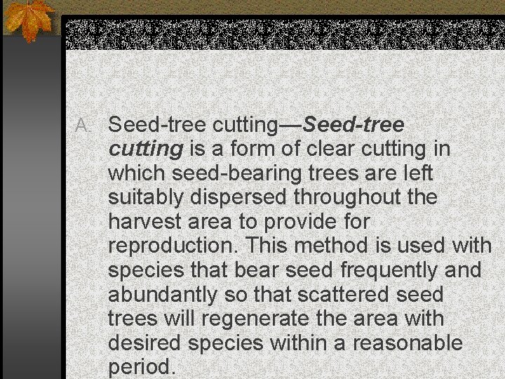 Tree Harvesting By Mr Kennedy Objectives n 1