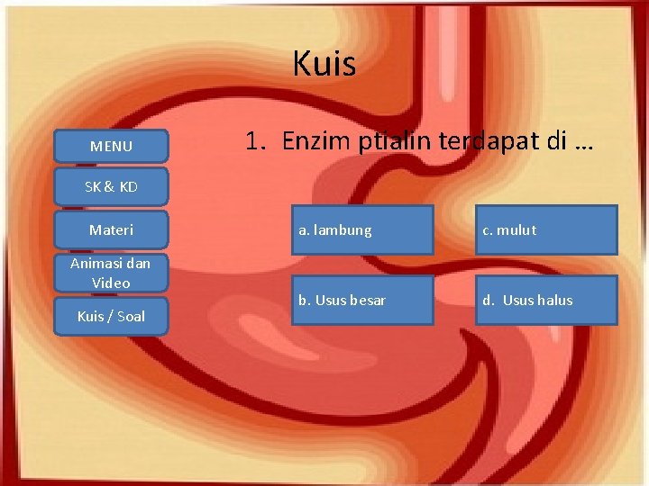 SISTEM PENCERNAAN Pendidikan Biologi UNIVERSITAS AHMAD DAHLAN SK