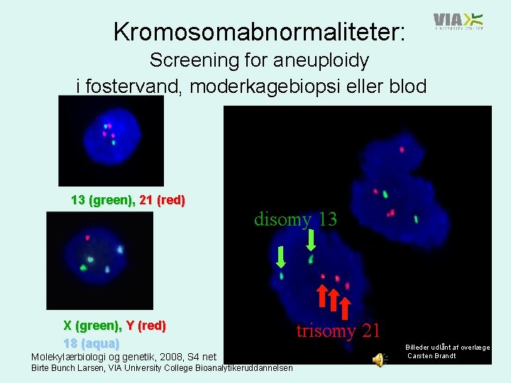 Cytogenetik Cytogenetiske analyser banding teknik FISH og karyotype
