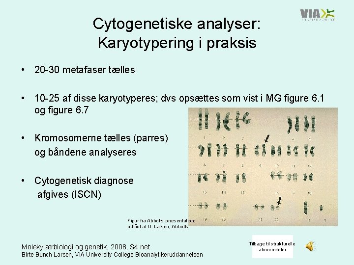 Cytogenetik Cytogenetiske analyser banding teknik FISH og karyotype
