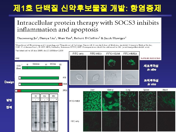 Platform Technologies for New Drug DiscoveryDevelopment Small Molecules