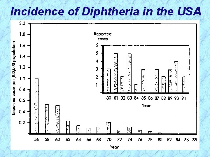 Corynebacterium Erysipelothrix Listeria Pathogenic Anaerobic ...