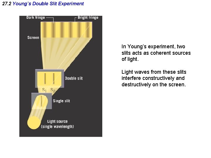 Chapter 27 Interference and the Wave Nature of