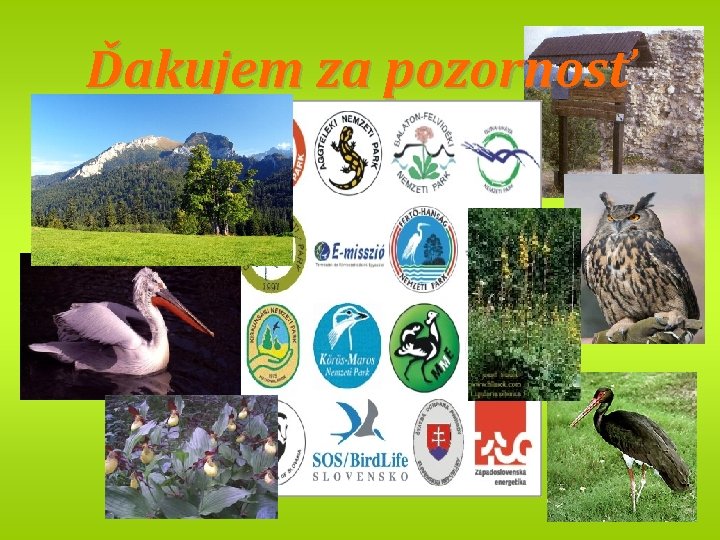 Ochrana prrody na Slovensku Defincia prrody Prroda zaha