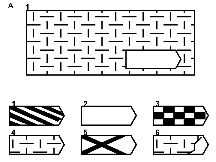 Testul RAVEN Matricele Progresive Raven test de grup
