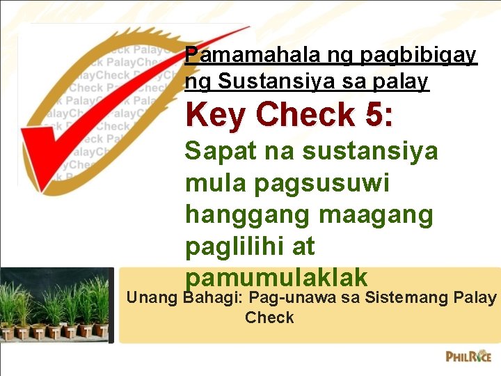 Pamamahala ng pagbibigay ng Sustansiya sa palay Key