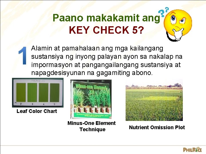 Pamamahala ng pagbibigay ng Sustansiya sa palay Key