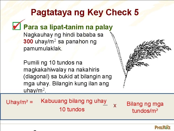 Pamamahala ng pagbibigay ng Sustansiya sa palay Key