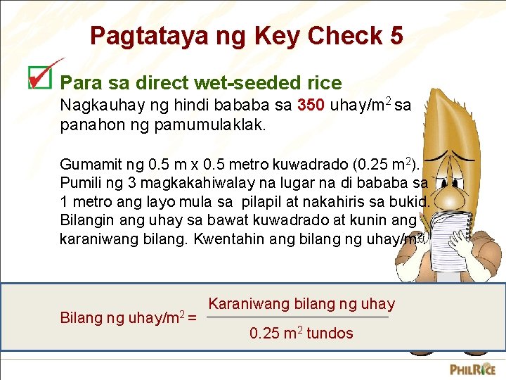 Pamamahala ng pagbibigay ng Sustansiya sa palay Key