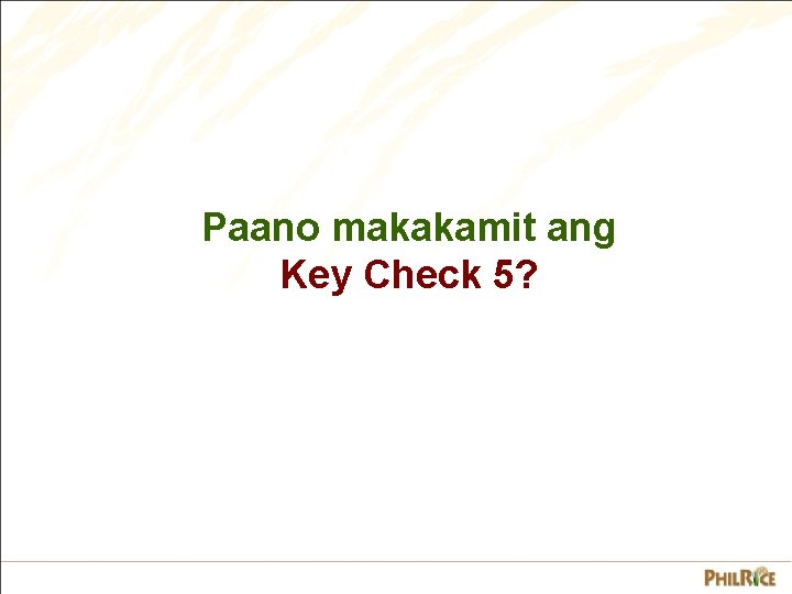 Pamamahala ng pagbibigay ng Sustansiya sa palay Key