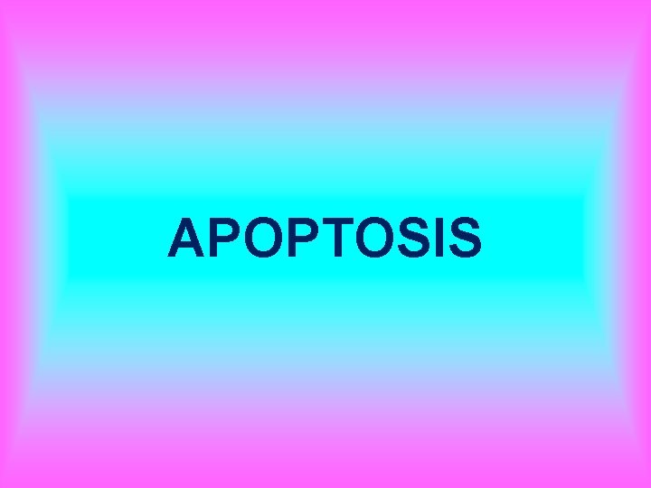 APOPTOSIS Definition Apoptosis or programmed cell death is