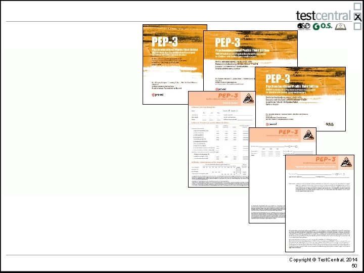 PEP3 Profilul psihoeducaional Evaluarea individualizat psihoeducaional ...