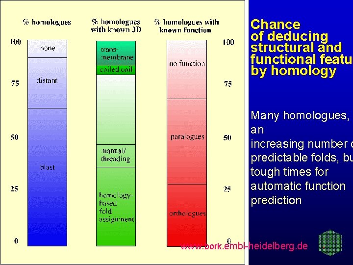 function from sequence Peer Bork EMBL MDC Heidelberg