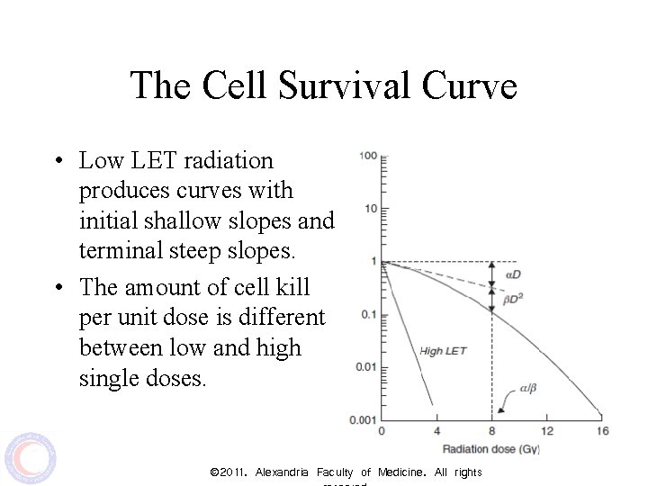 Cellular Effects of a Single Dose of Irradiation