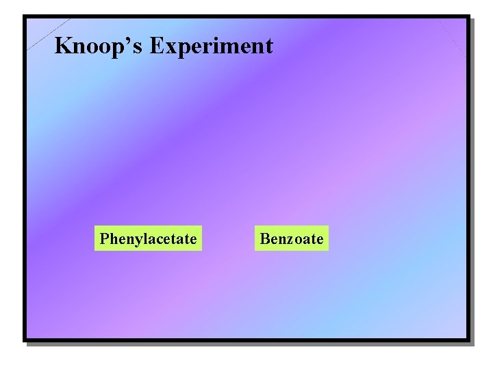 Beta Oxidation Part I The break down of