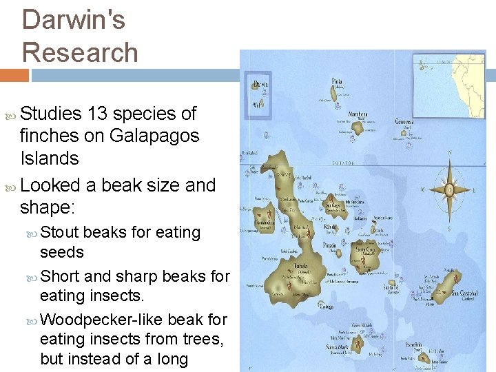 ORIGINS OF BIODIVERSITY Important Terms Evolution A change