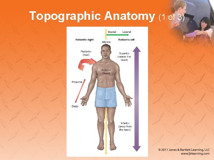 Chapter 5 The Human Body National EMS Education