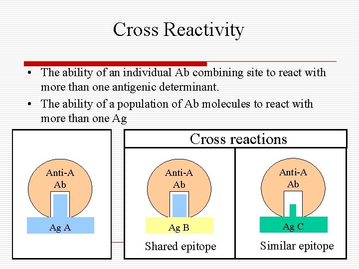 Principles of Immunology AntigenAntibody Interactions 42506 WordTerms List