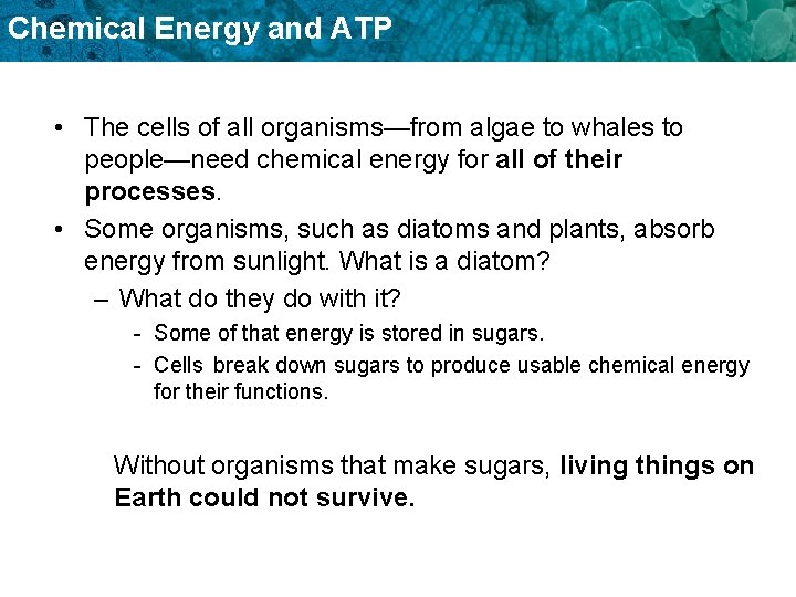 Chemical Energy and ATP KEY CONCEPT All cells
