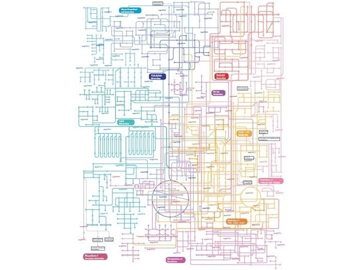 KEGG KEGG Systems information KEGG PATHWAY KEGG BRITE