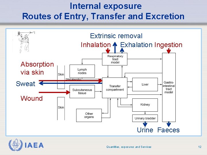 Quantities and units Dose limits Laszlo Sagi Radiation