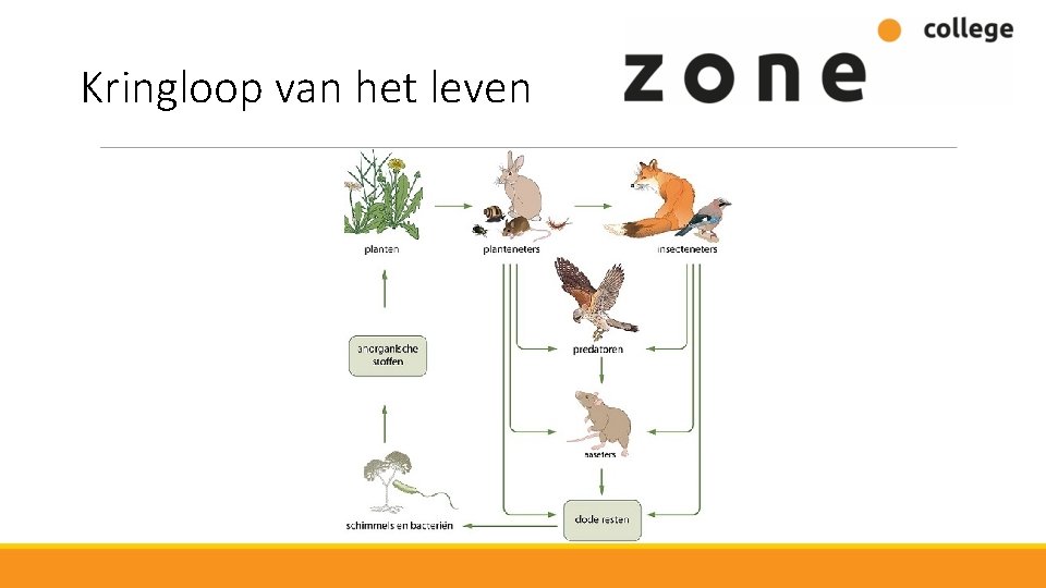 Biologie op het mbo Deel 5 Biotopen Ecosystemen