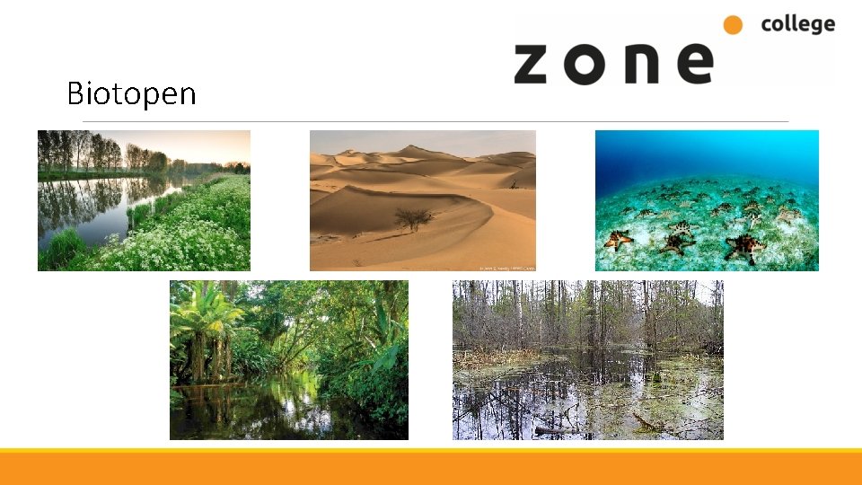 Biologie op het mbo Deel 5 Biotopen Ecosystemen