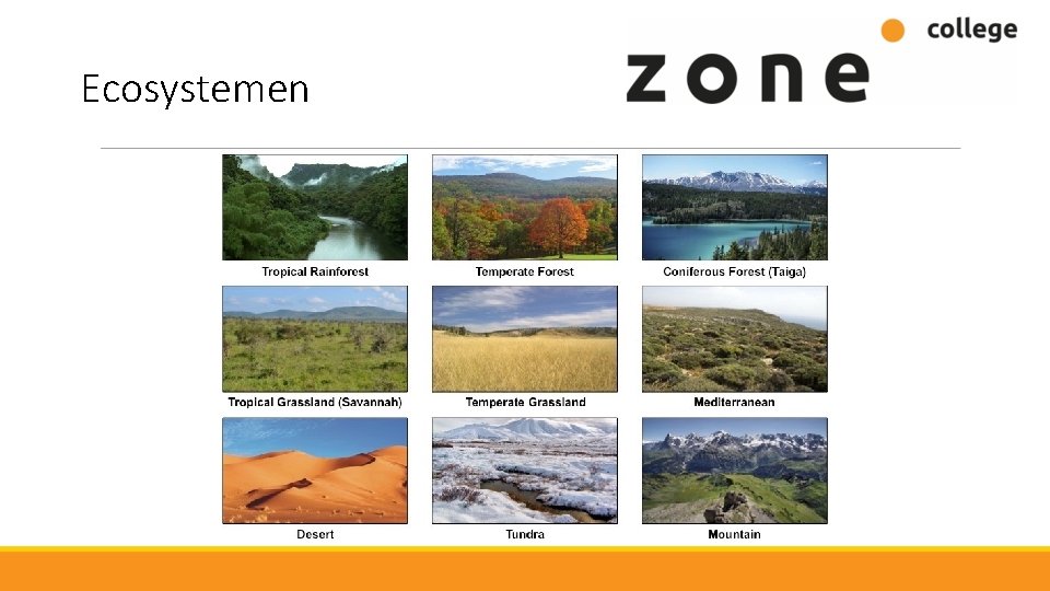 Biologie op het mbo Deel 5 Biotopen Ecosystemen