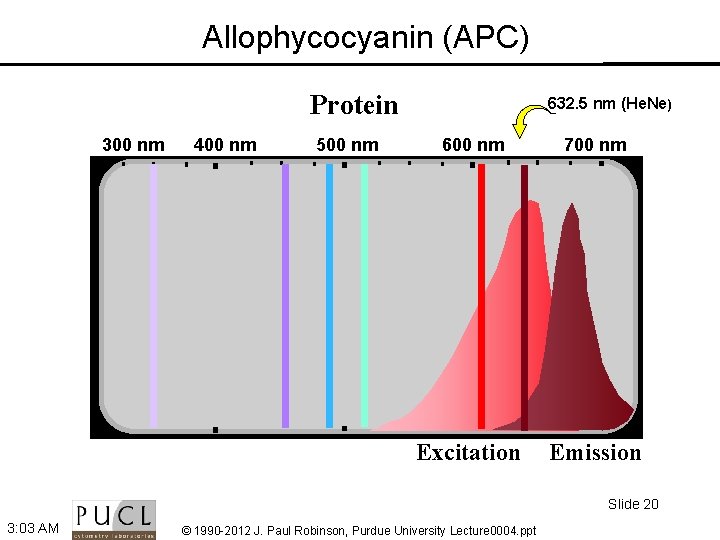BMS 631 Lecture 4 Fluorescence J Paul Robinson