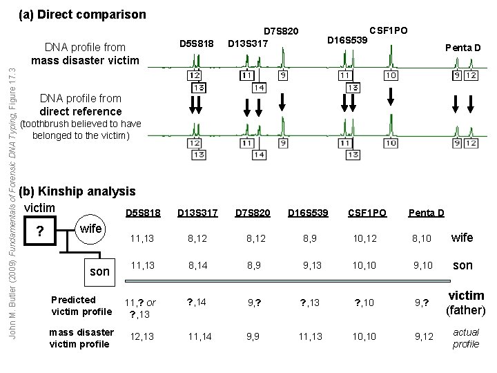 Chapter 17 Applications of DNA Typing Fundamentals of